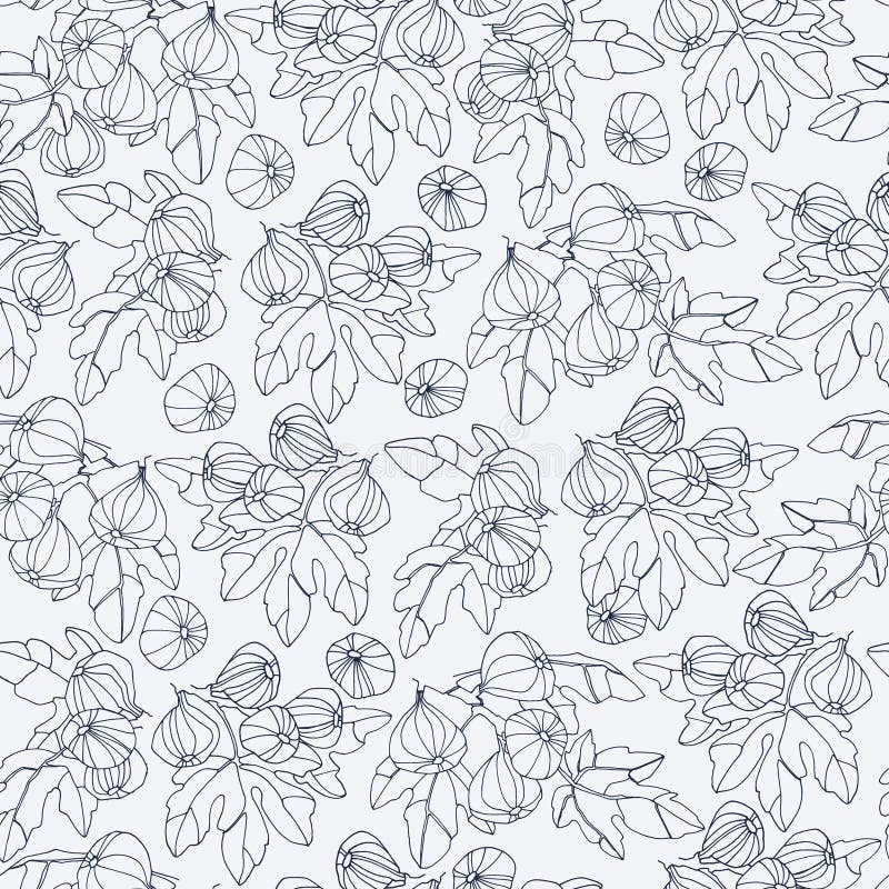 Seamless Pattern. Fig Tree Branches with Fruit. Outlined Vector ...