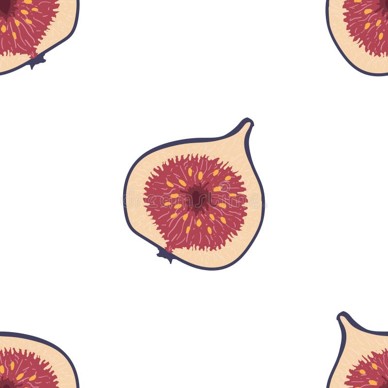 Seamless Pattern with Figs. Whole Fig with Half. Summer Background ...