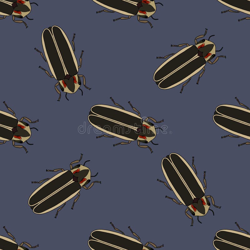 Firefly Wings Stock Illustrations – 122 Firefly Wings Stock ...