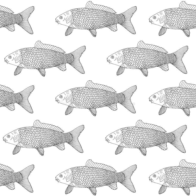Fish Carp with Scales. Raw River Fish Stock Image - Image of bream ...