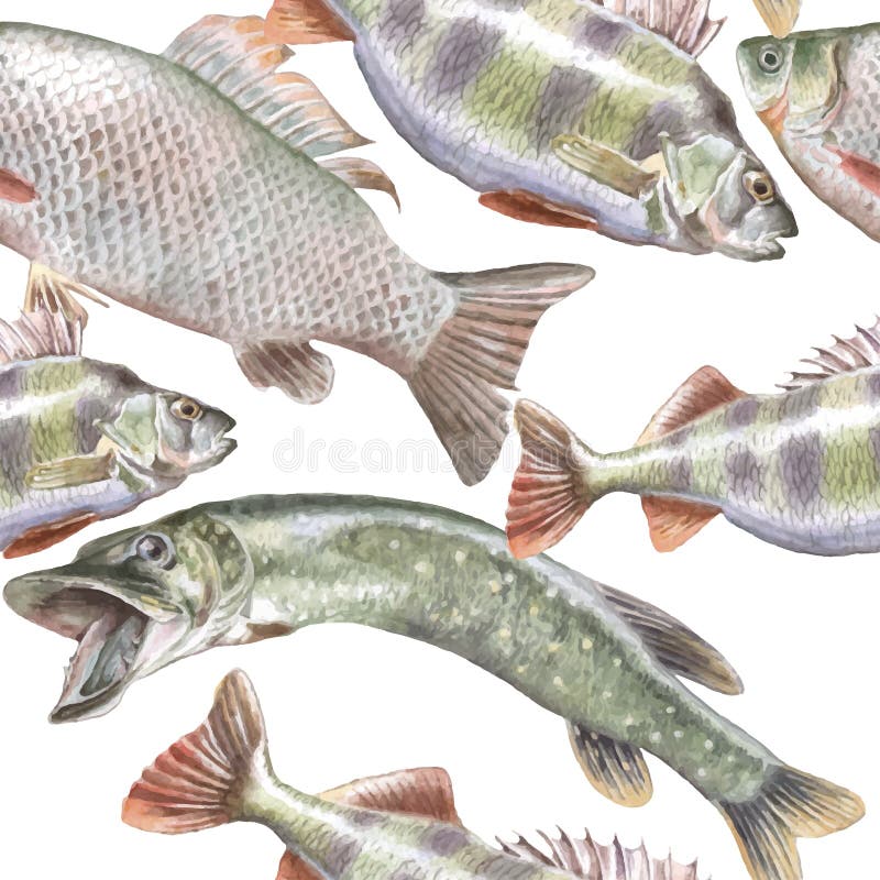 Bass Fish Pattern Stock Illustrations – 692 Bass Fish Pattern Stock ...