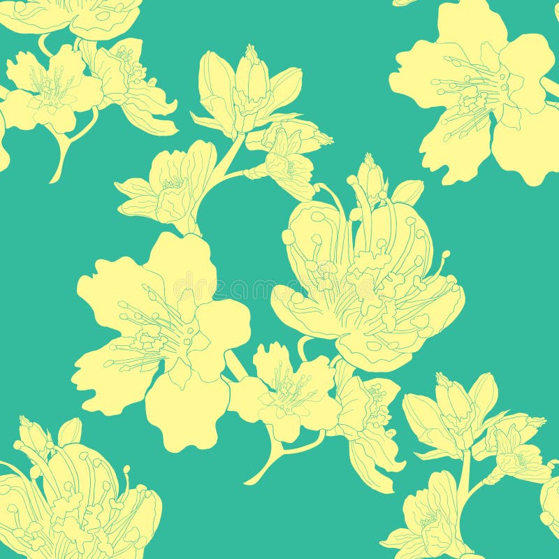 Seamless Pattern Flower of the Almond Blossoms a Nut Vector Il Stock ...