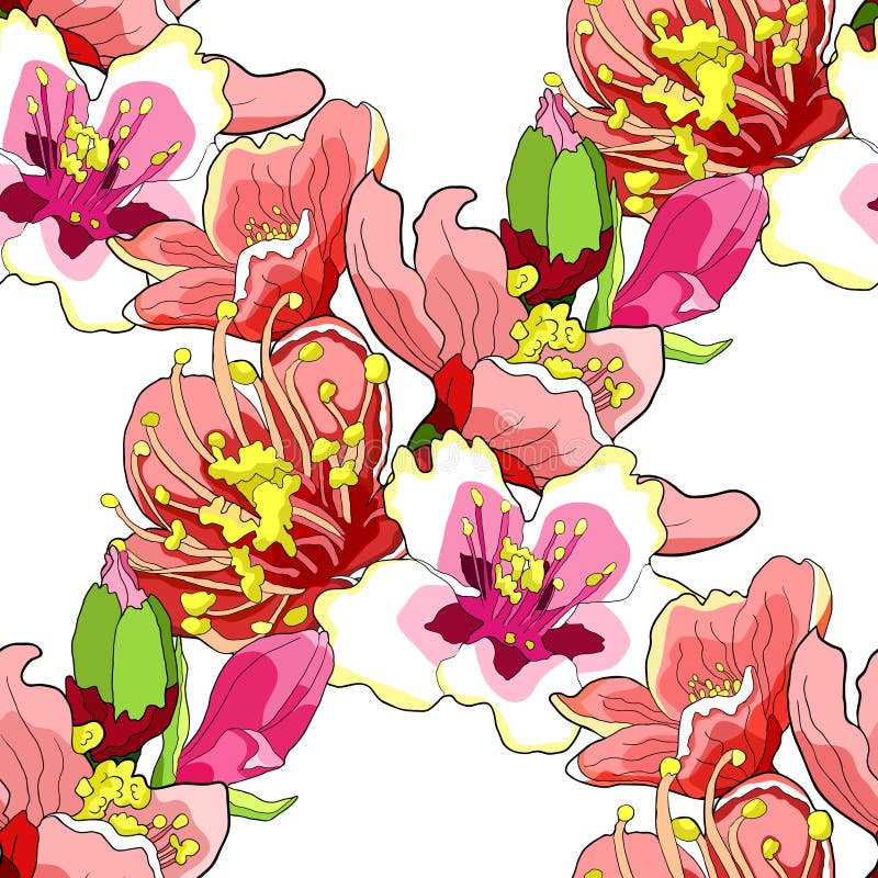 Vector Almond Flower Pattern Stock Illustrations – 808 Vector Almond ...