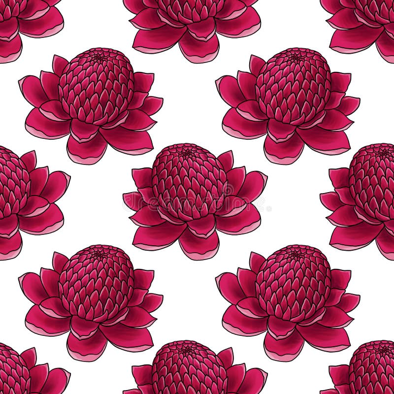 Ginger Plant at Watercolor Background Stock Vector - Illustration of ...