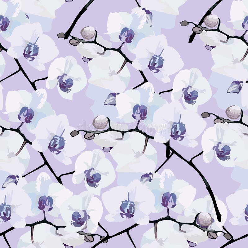 Rosehip Flower Seamless Pattern Stock Illustration Illustration Of