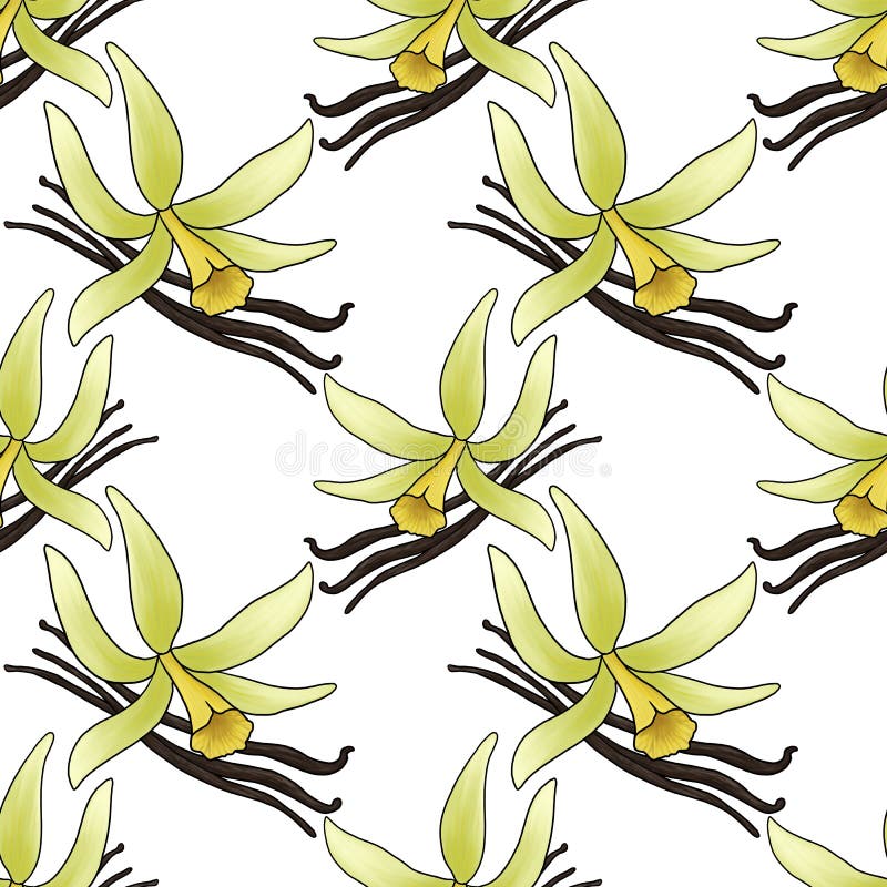 Vanilla Flower Seamless Pattern Stock Illustrations – 1,333 Vanilla ...