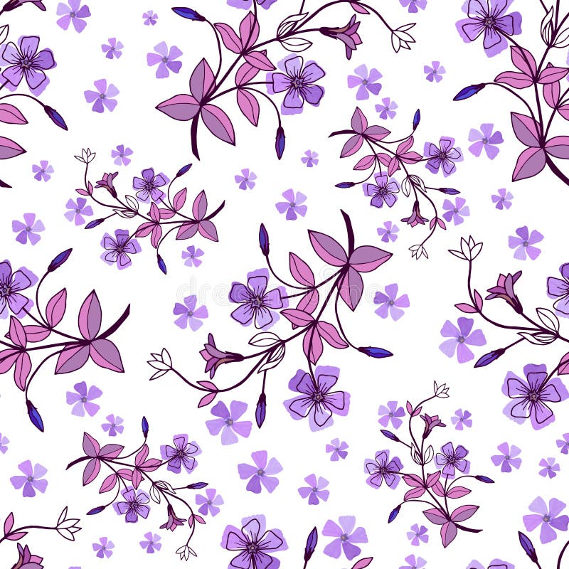 Seamless Pattern of Flowers Periwinkle. Vector Stock Illustration Eps10 ...