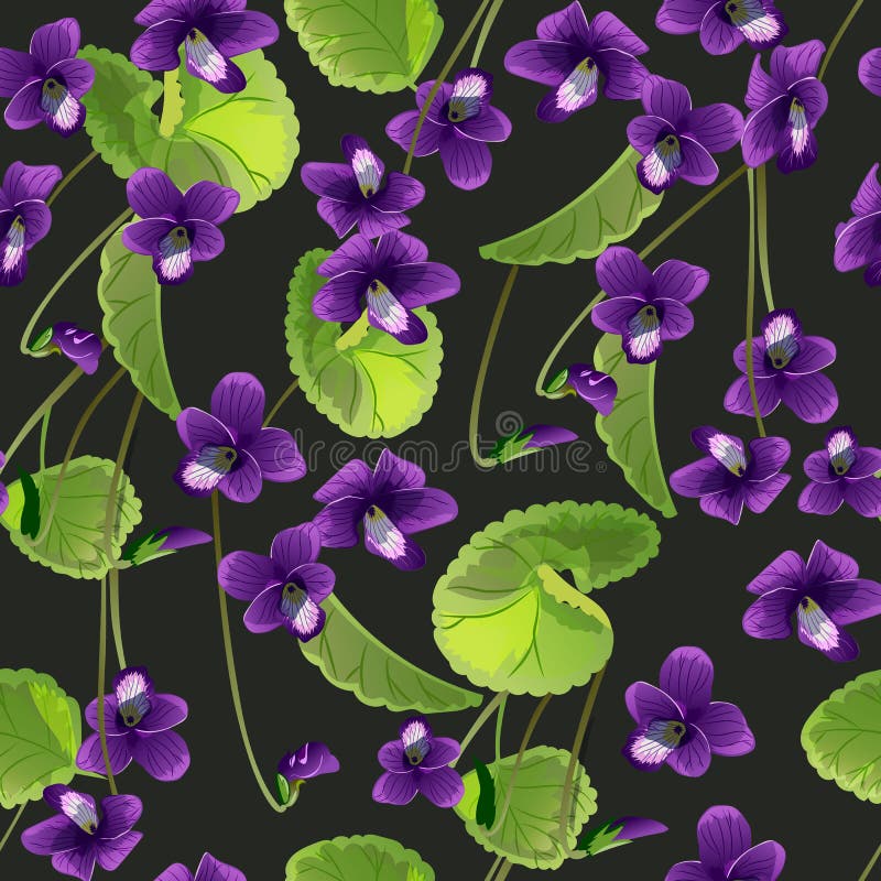 Seamless Pattern with Flowers Violet Stock Vector - Illustration of ...