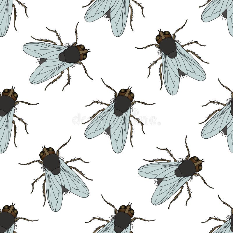 Seamless Pattern with Fly. Musca Domestica . Hand-drawn . Fly Stock ...
