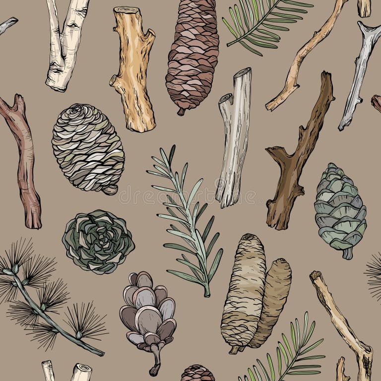 Forest Cones Stock Illustrations – 10,799 Forest Cones Stock ...
