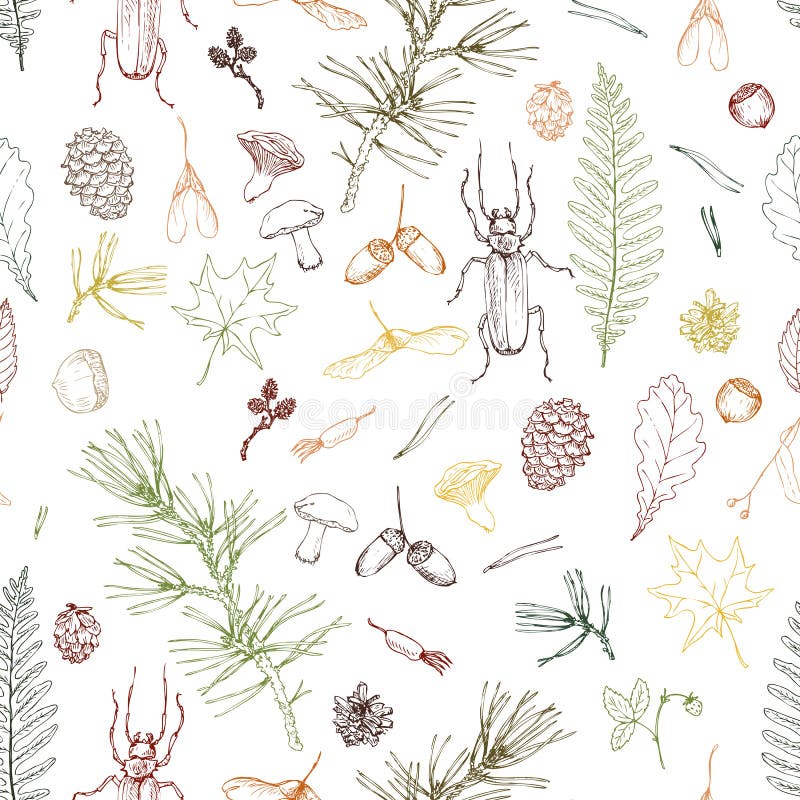 Big set of forest objects stock vector. Illustration of maple - 52445362