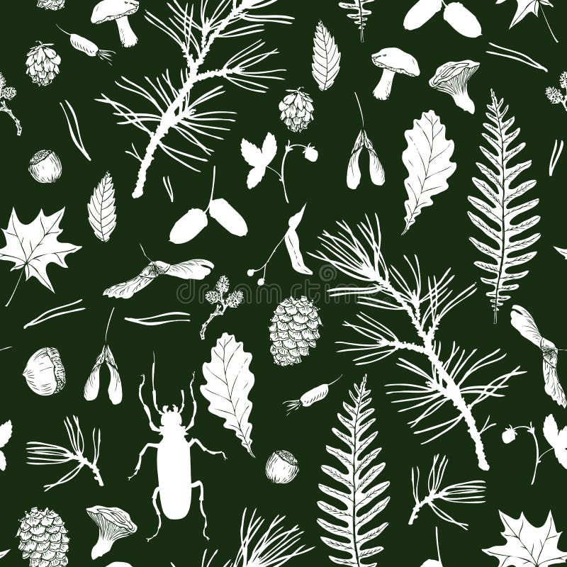 Big set of forest objects stock vector. Illustration of maple - 52445362