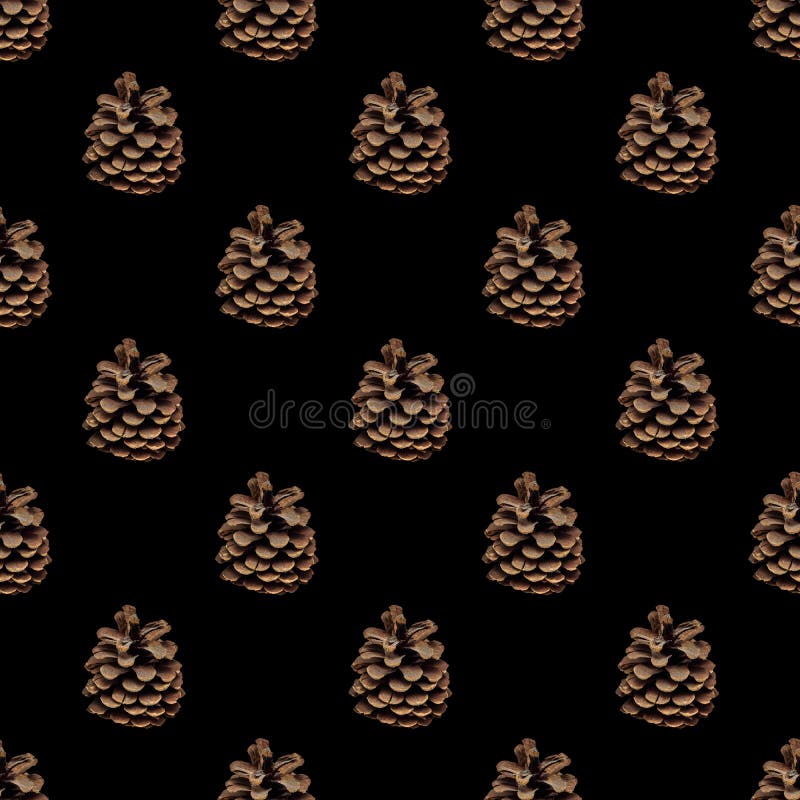 Fire Cones Stock Illustrations – 159 Fire Cones Stock Illustrations ...