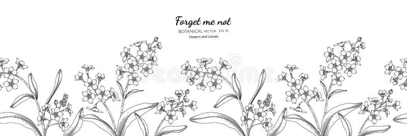 Forget Me Not Line Art Stock Illustrations – 148 Forget Me Not Line Art ...