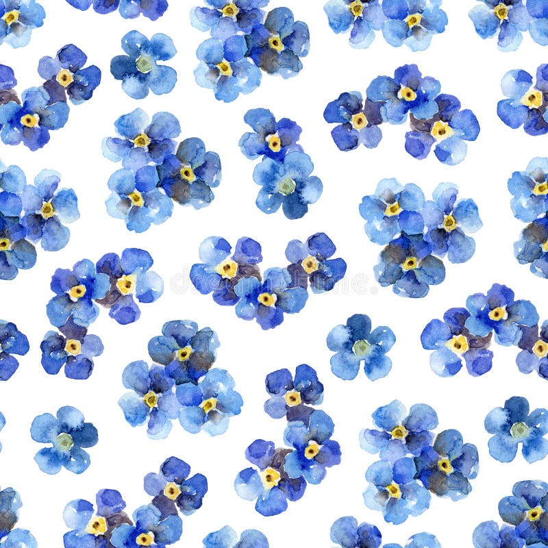 Seamless Pattern with Forget-me-nots Stock Illustration - Illustration ...