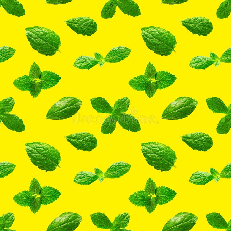 Seamless Pattern of Fresh Mint Leaves on Yellow Background Stock Photo ...