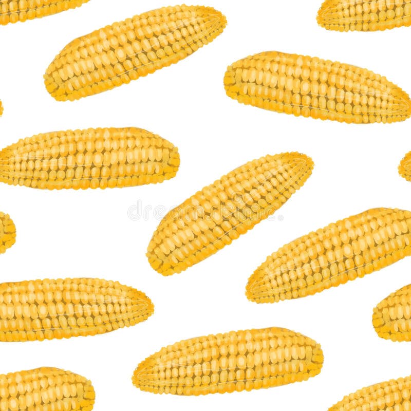Seamless Pattern with Fresh Ripe Corn Cobs Stock Image - Image of food ...