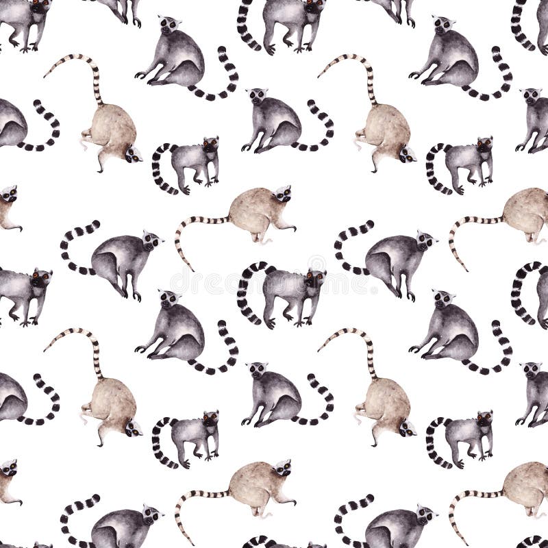 Possum Running Stock Illustrations – 10 Possum Running Stock ...