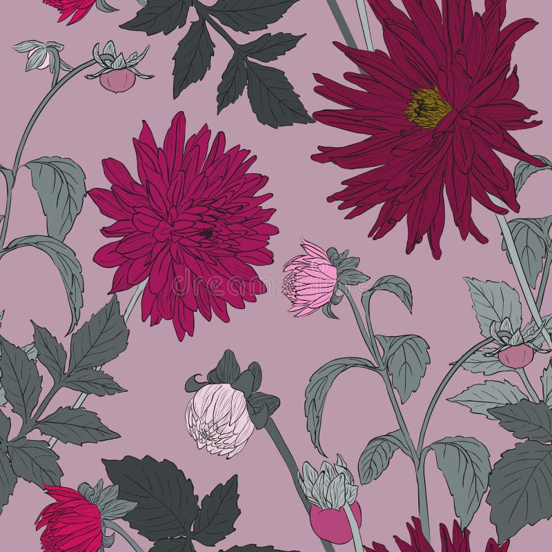 Seamless Pattern with Garden Asters Stock Vector - Illustration of ...