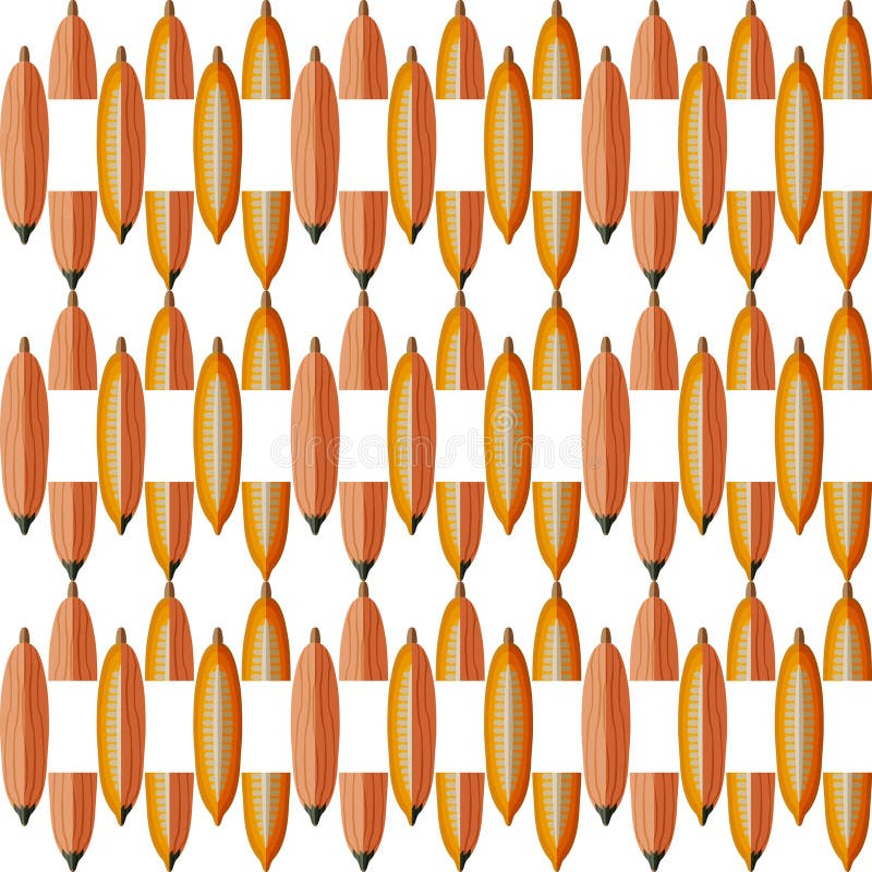 Seamless Pattern Georgia Candy Roaster Squash Stock Vector ...