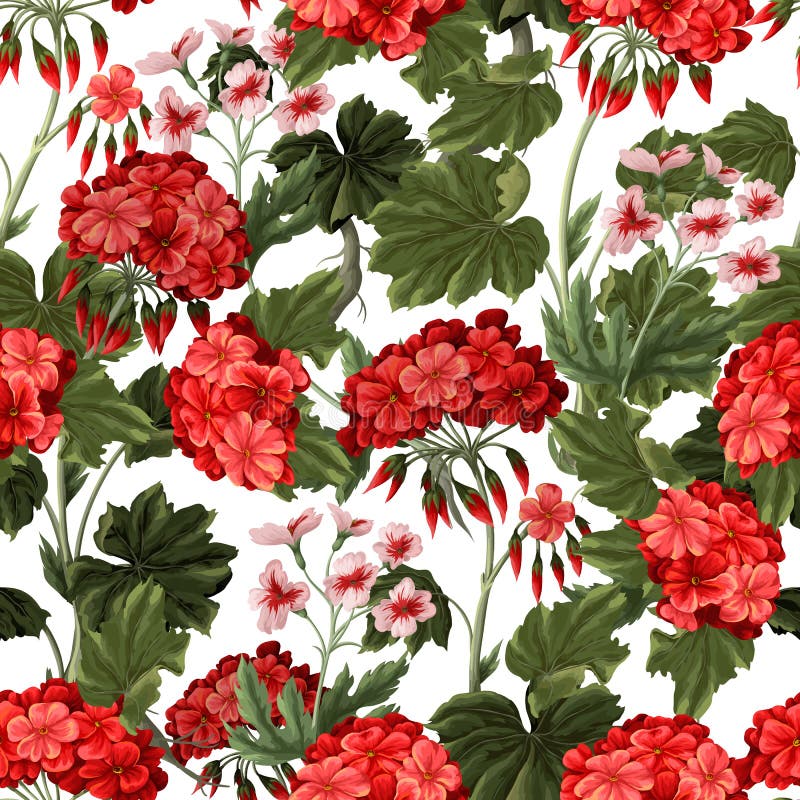 Seamless Pattern with Geraniums and Wild Flowers. Trendy Floral Vector ...