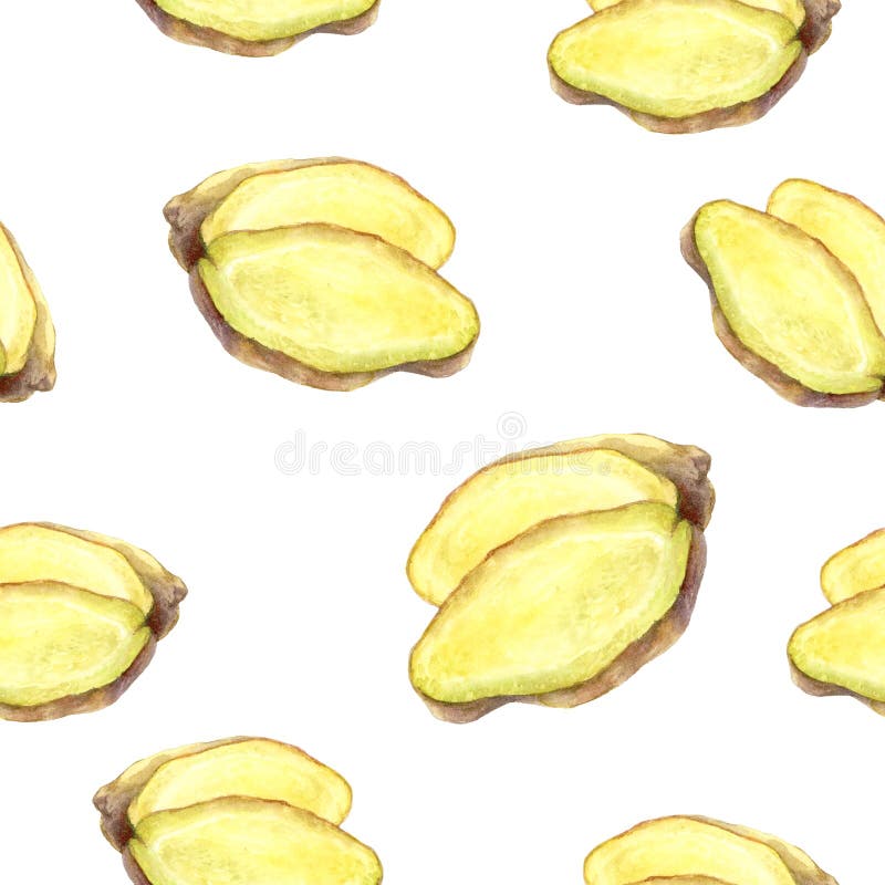 Watercolor Hand Drawn Ginger Isolated Seamless Pattern. Stock Photo ...