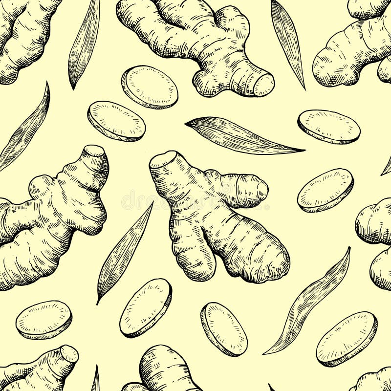 Seamless Pattern with Ginger Roots, Slices and Leaves in Engraving ...