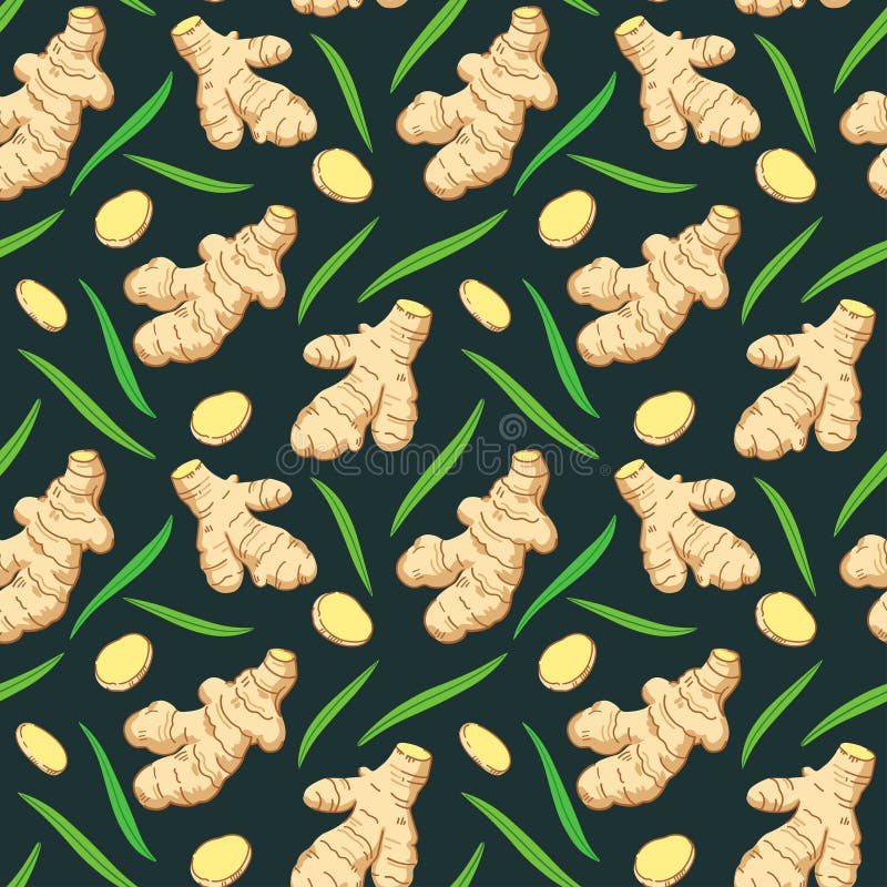 Seamless Pattern with Ginger Roots, Slices and Leaves. Vector ...