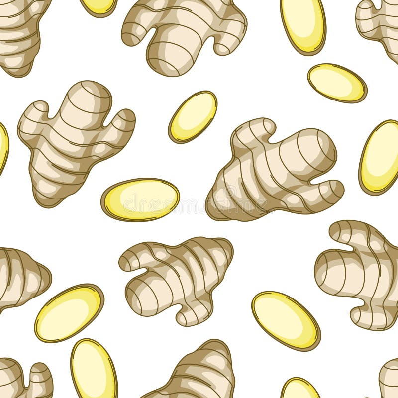 Seamless Pattern with Ginger. Stock Vector - Illustration of drawn ...