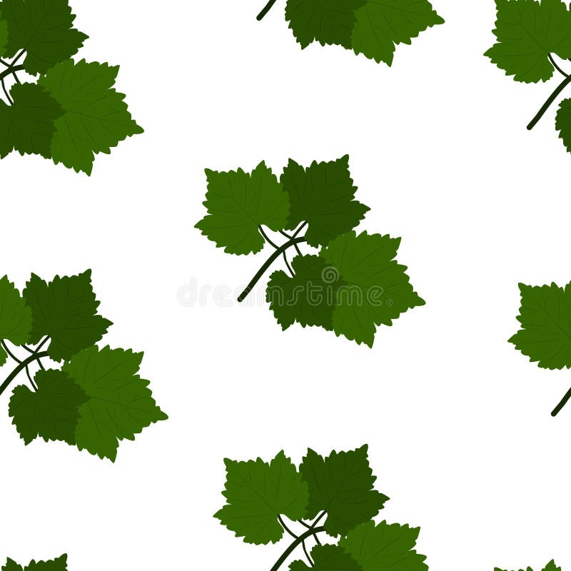 Seamless Pattern with Grapes and Leaves. Flat Design Illustration Stock ...