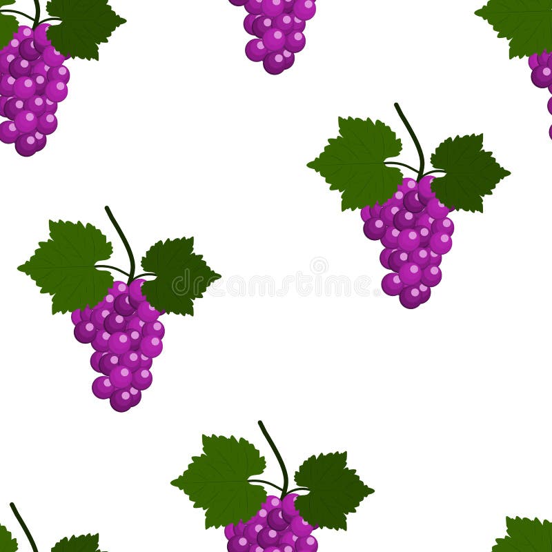 Seamless Pattern with Grapes and Leaves. Flat Design Illustration Stock ...