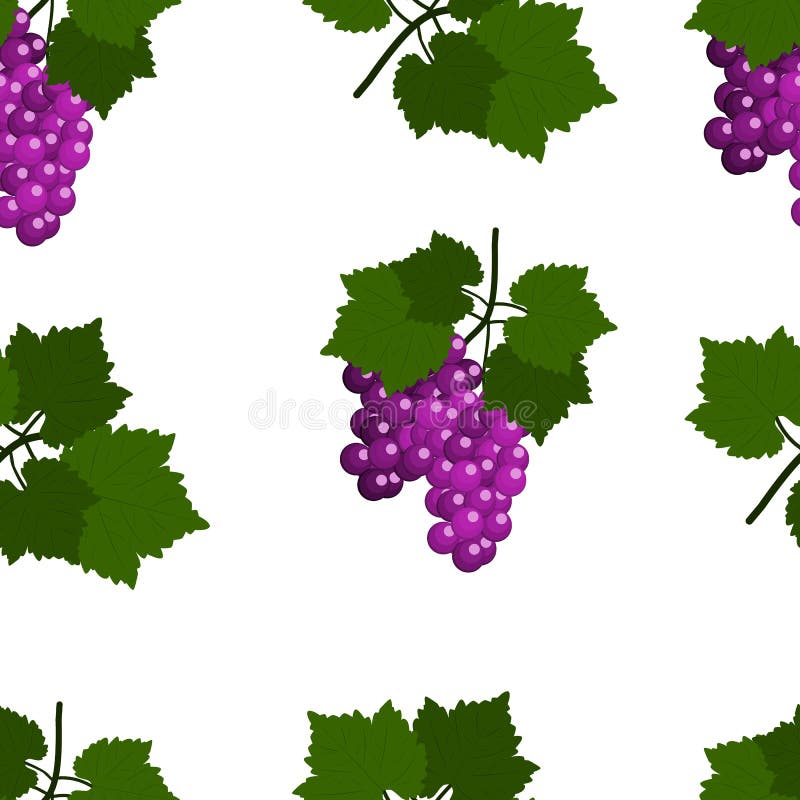 Seamless Pattern with Grapes and Leaves. Flat Design Illustration Stock ...