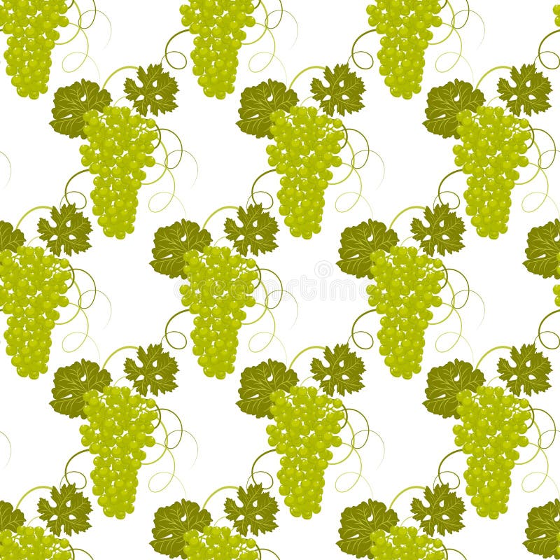 Seamless Pattern Grapes Vector Stock Vector - Illustration of ...