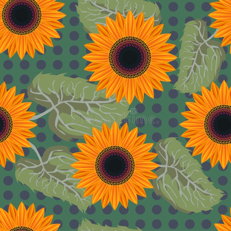 Seamless Pattern Graphic Sunflower Stock Illustration - Illustration of ...