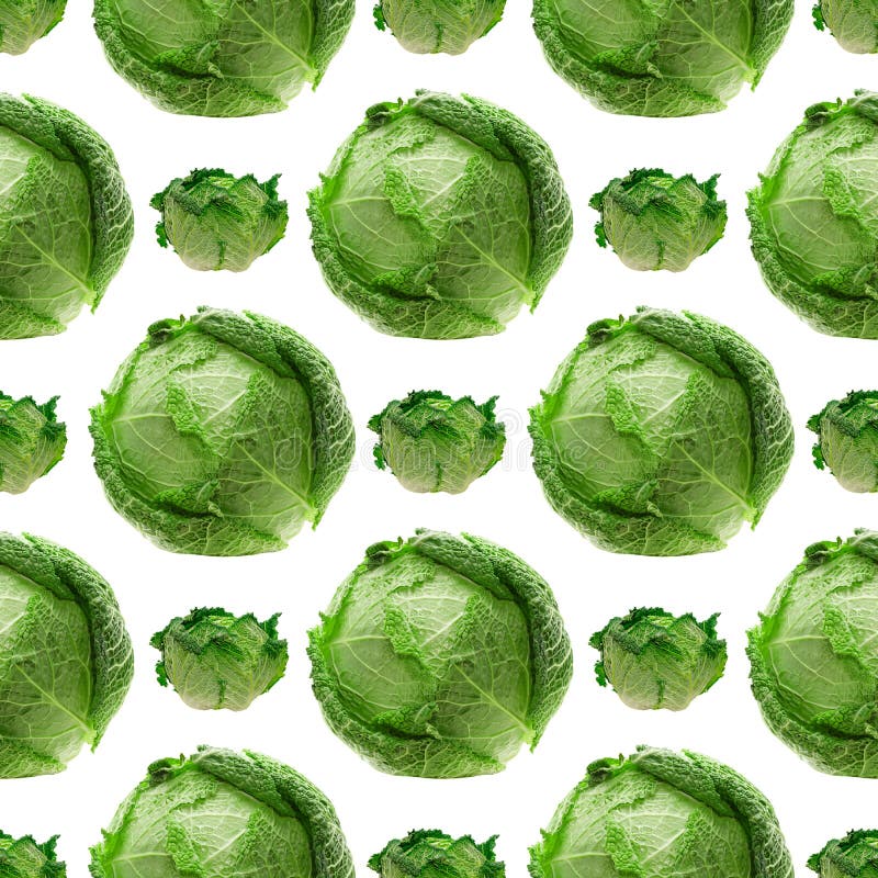 Seamless Pattern of Green Cabbage Isolated on White Background Stock ...