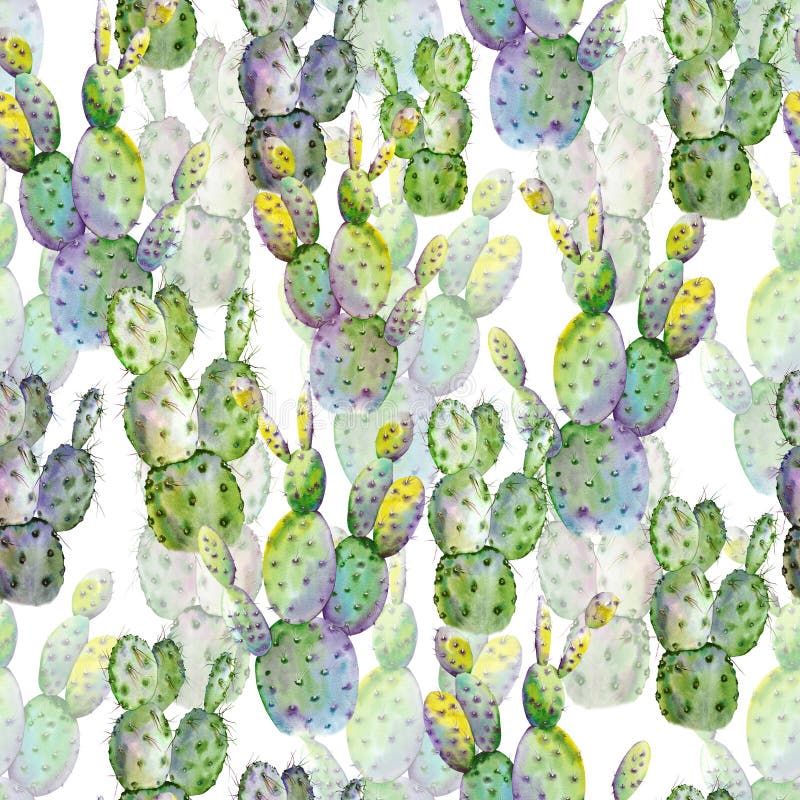 Realistic Cactus Texture Seamless Stock Illustrations – 221 Realistic ...