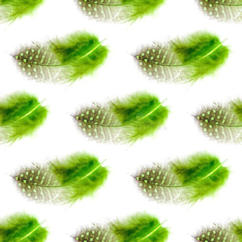 Native American Feathers Falling Stock Photos - Free & Royalty-Free ...