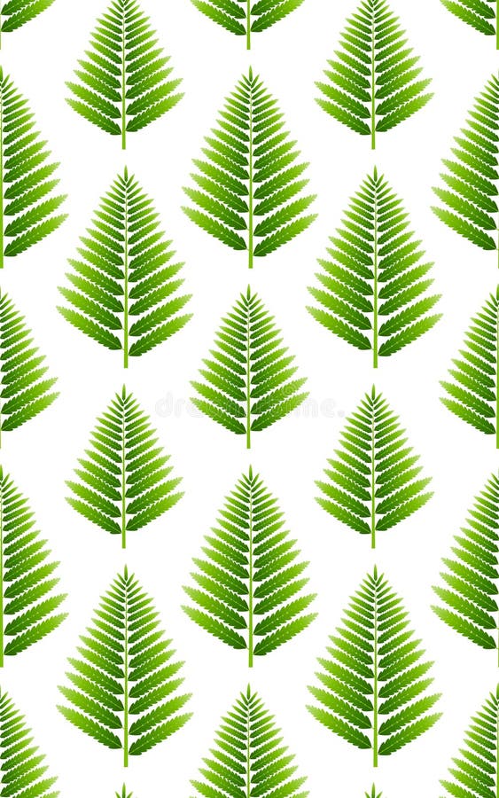 Seamless Pattern with Green Fern Leaves on White Stock Vector ...