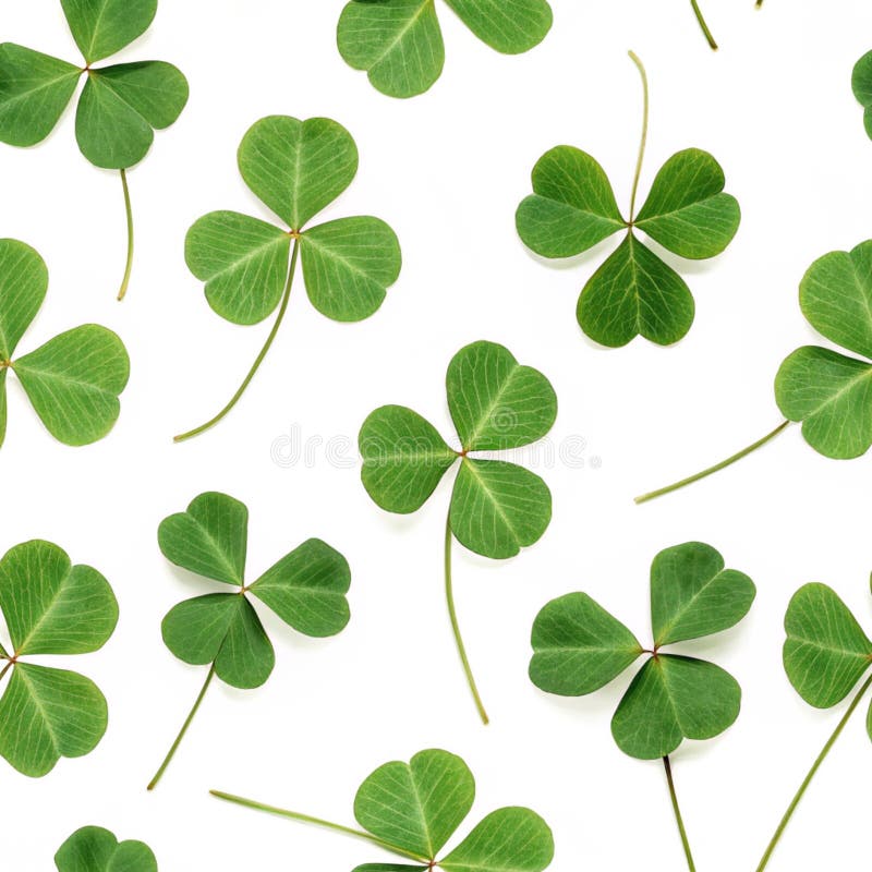 Seamless Pattern of Green Four-leaf Clover Leaves Isolated on ... Seamless Pattern of Green Four-leaf Clover Leaves Isolated on ...