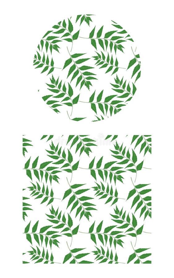 Neem Leaves Pattern Stock Illustrations – 104 Neem Leaves Pattern Stock ...