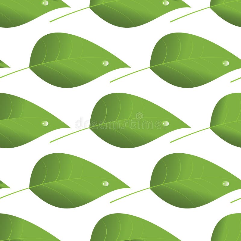 Seamless Pattern of Green Leaves Stock Vector - Illustration of ...