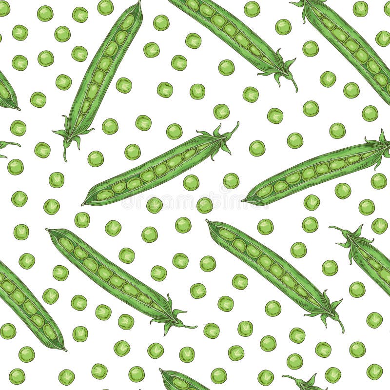 Seamless Pattern. Green Pea Pod and Peas Stock Vector - Illustration of ...