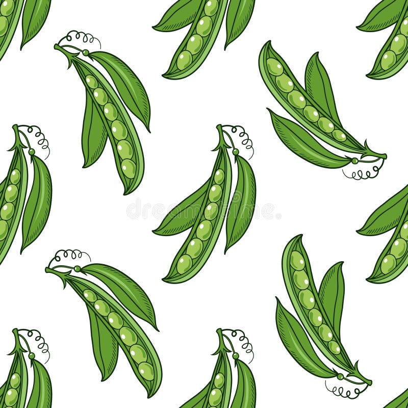 Seamless Pattern with Green Pea Pods. Stock Vector - Illustration of ...
