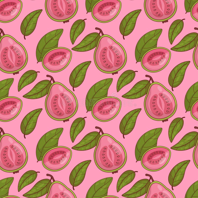 Seamless Pattern Guava Fruit on Pink Background with Leaves. Vector ...