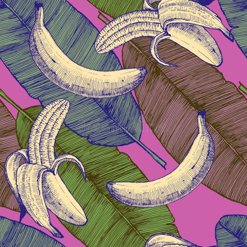 Seamless Pattern with Hand-drawn Bananas. Stock Vector - Illustration ...