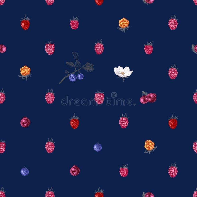 Seamless Pattern with Hand Drawn Berries Stock Vector - Illustration of ...
