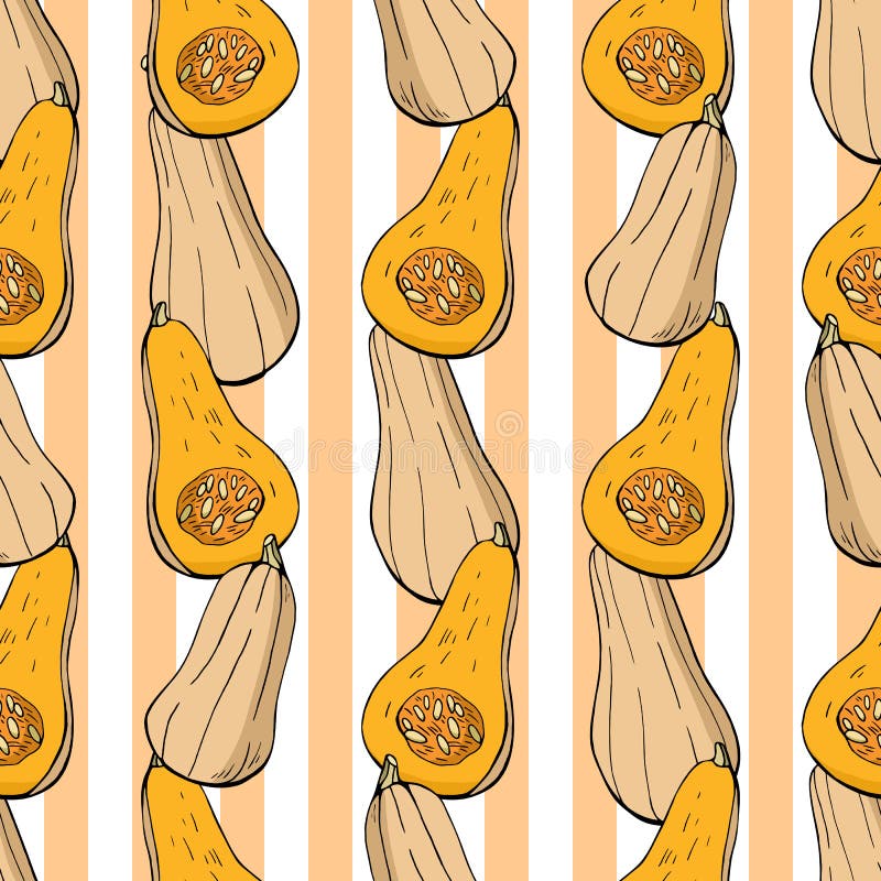 Seamless Pattern With Hand Drawn Butternut Squash Stock Vector ...