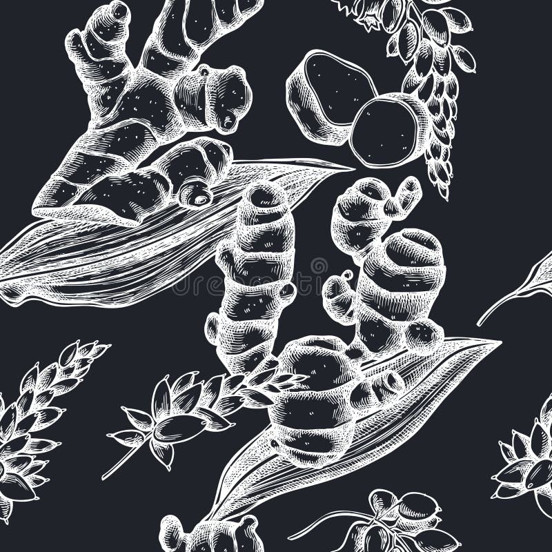 Seamless Pattern with Hand Drawn Chalk Ginger Stock Vector ...