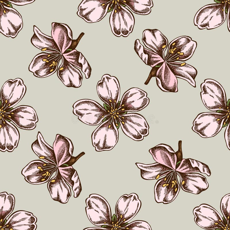 Seamless Pattern with Hand Drawn Colored Almond Stock Vector ...