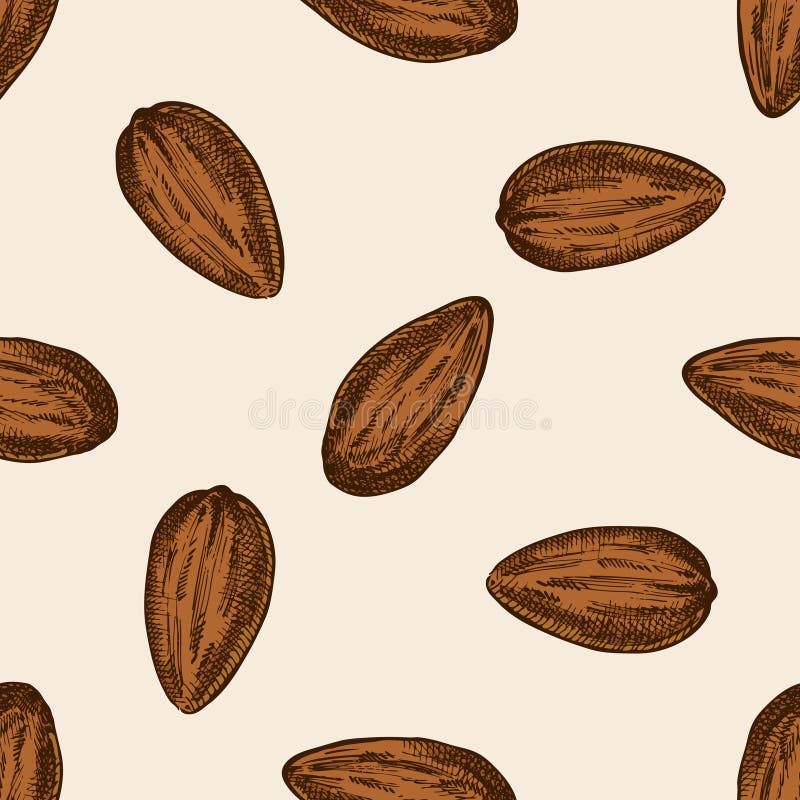 Seamless Pattern with Hand Drawn Colored Almond Stock Vector ...